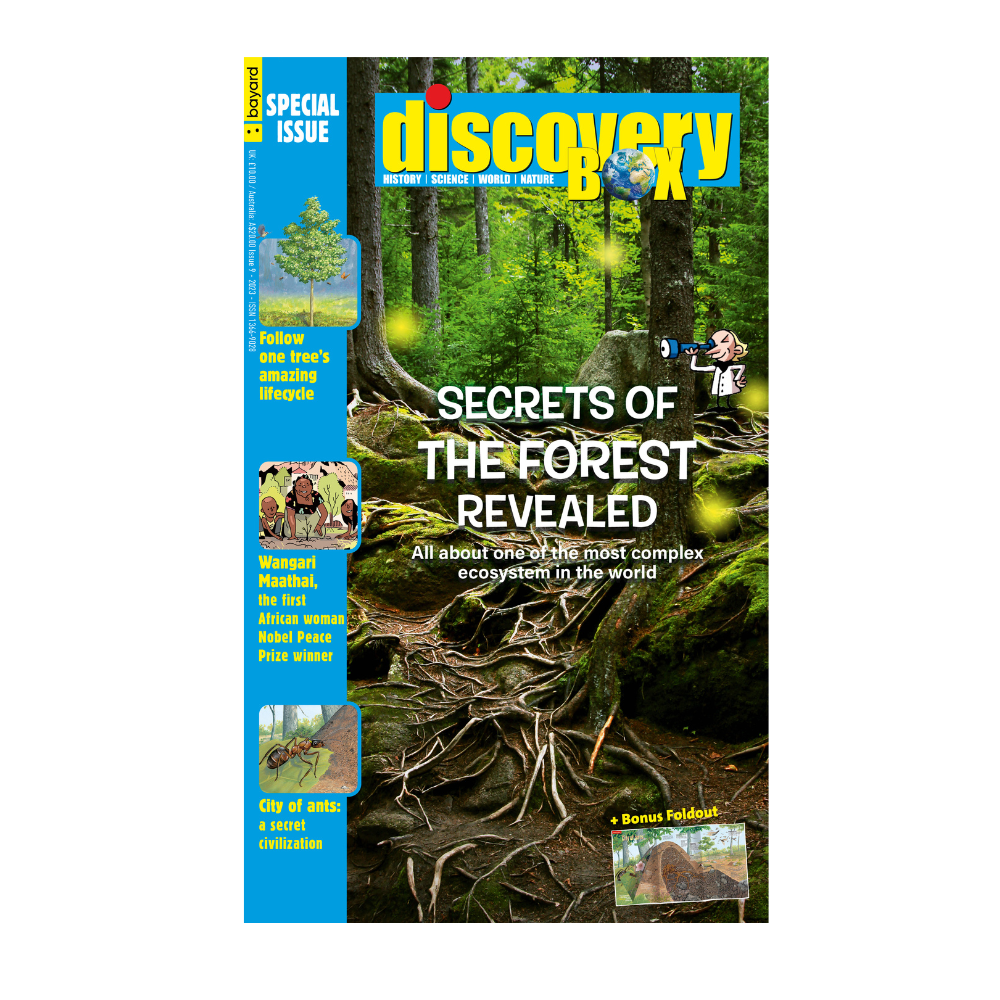 DiscoveryBox Special Edition: Secrets of the forest revealed (Single I ...